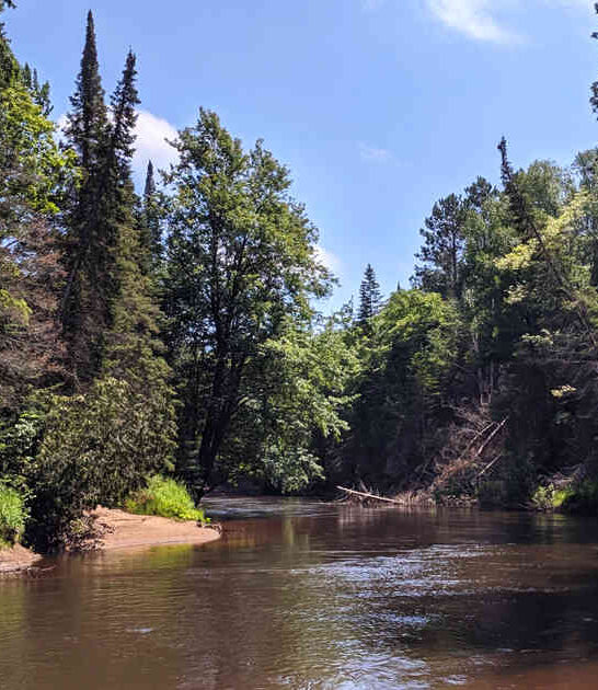 magical michigan wildlife refuge ftr