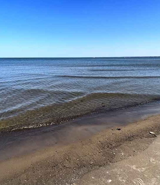 magical ohio beach discovery ftr
