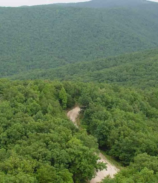 This Magical Wildlife Refuge In Alabama Is The Nature Escape You&rsquo;ve Been Searching For
