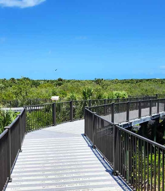 magical wildlife refuge florida ftr