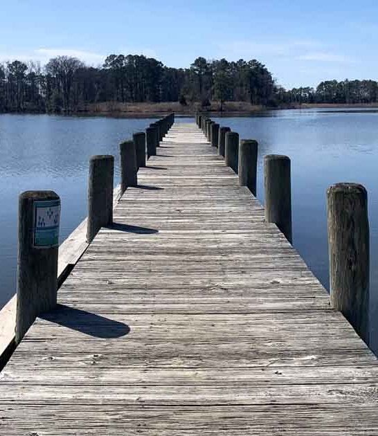 magical wildlife refuge maryland ftr