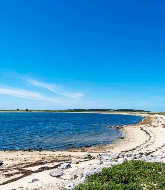 magical wildlife refuge massachusetts ftr