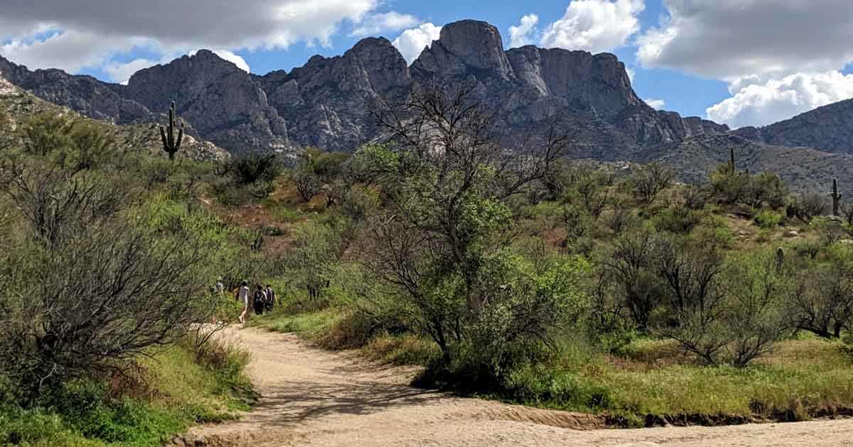 The Majestic Arizona Park That Belongs On Every Bucket List
