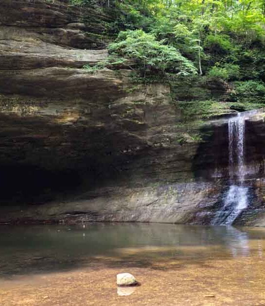 majestic illinois park list ftr