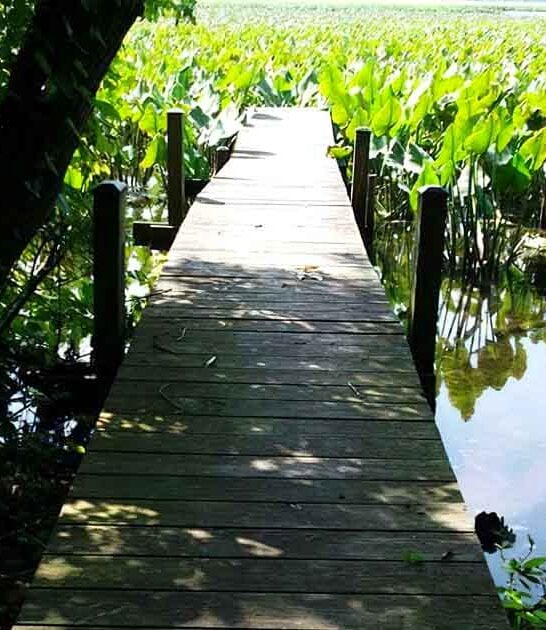 maryland birdwatcher paradise sanctuary ftr