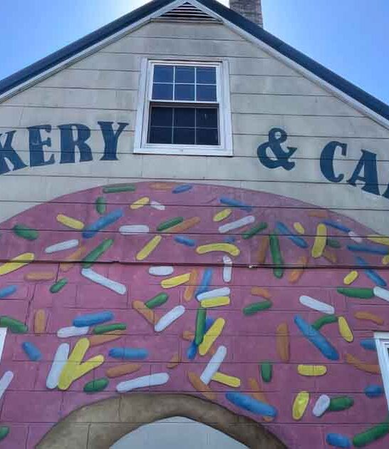 maryland giant donuts bakery ftr