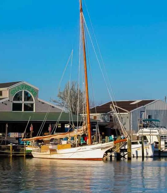 maryland tiny food towns ftr