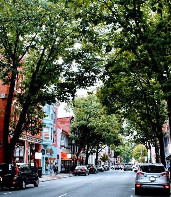 maryland town antique visit ftr