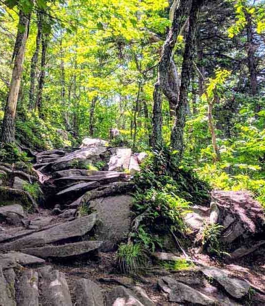 massachusetts iconic hiking trail ftr