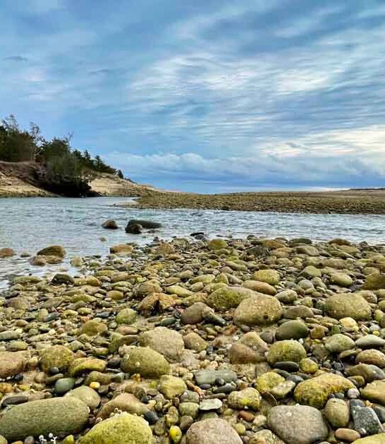 massachusetts state park attention ftr