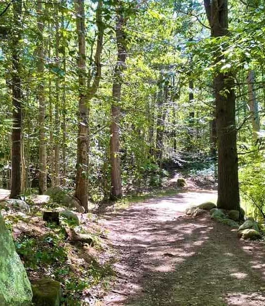 massachusetts trail magnolia swamp ftr