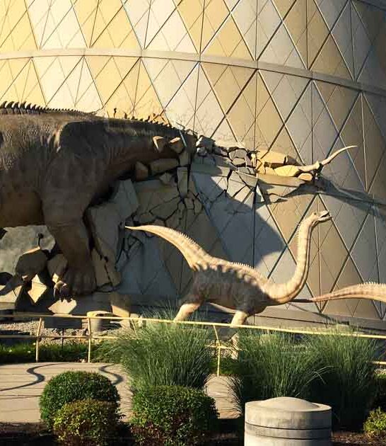 massive indiana museum dream ftr