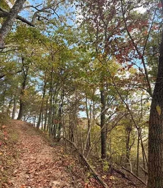 meandering trail virginia painting ftr