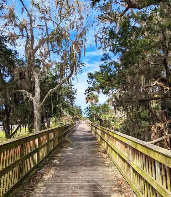 mesmerizing florida state park ftr