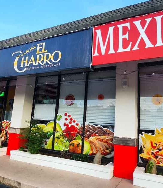 mexican restaurant virginia margarita ftr