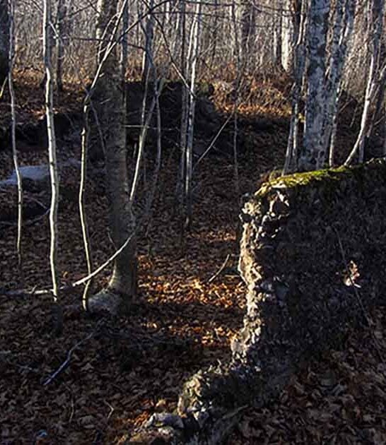 michigan bone chilling town ftr