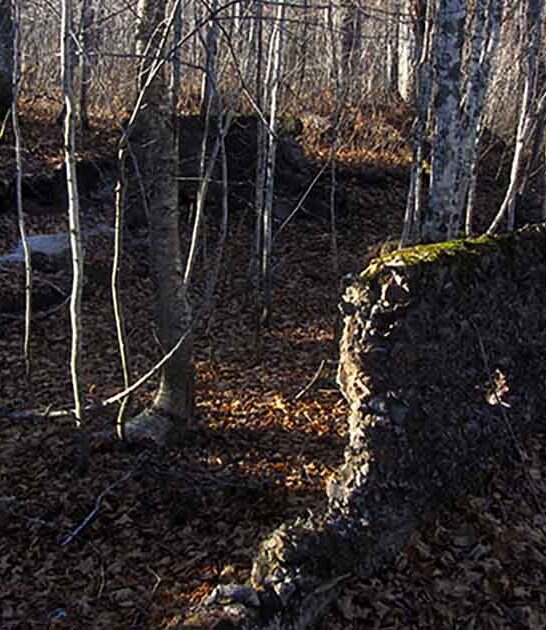 michigan creepy ghost town ftr