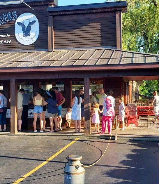 michigan delicious ice cream ftr