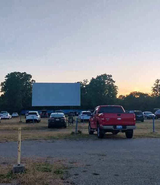 michigan drive in theater ftr