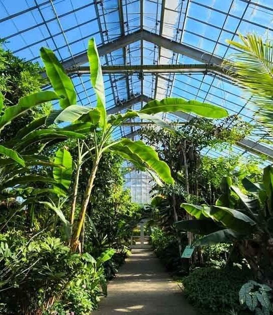 michigan magical botanical garden ftr