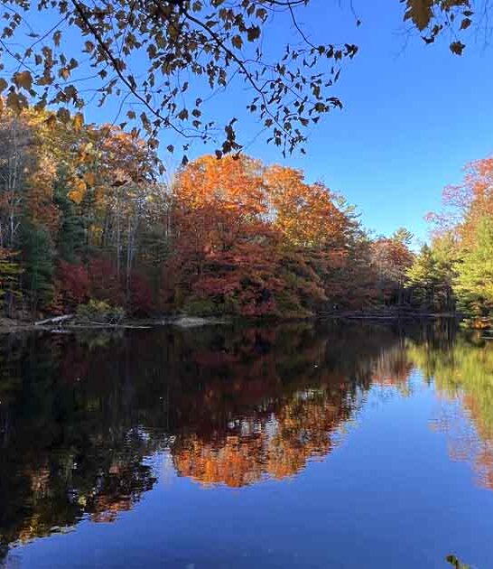 michigan magical nature preserve ftr
