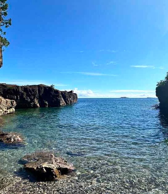 michigan majestic worthy park ftr