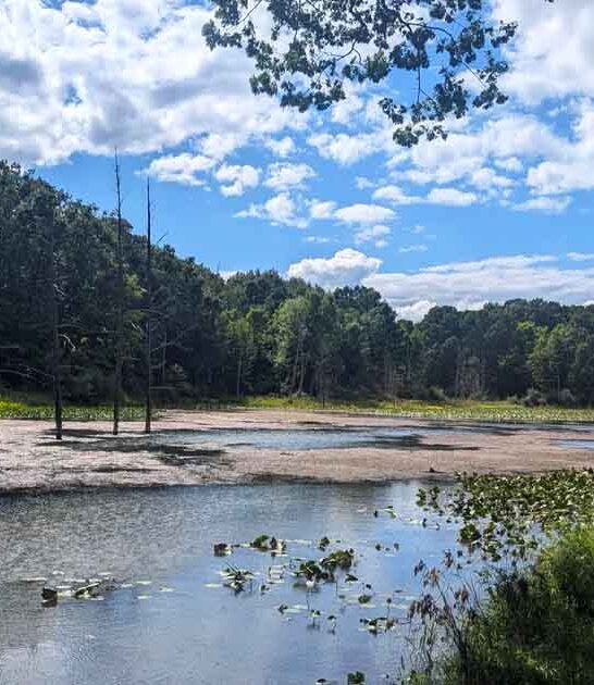 michigan nature park cave ftr
