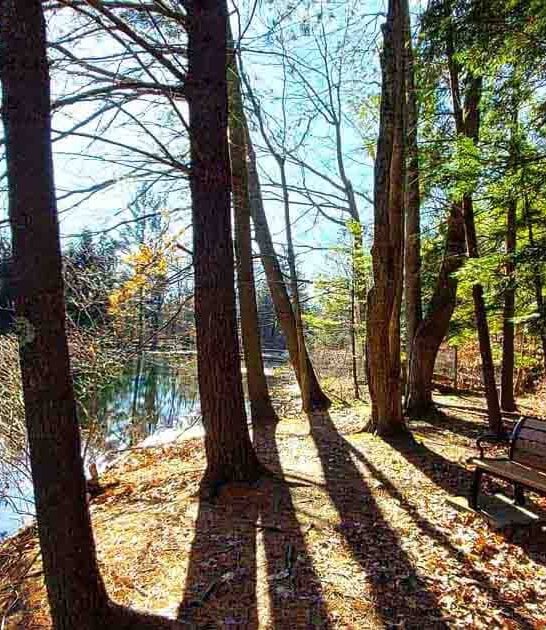 michigan nature preserve trip ftr