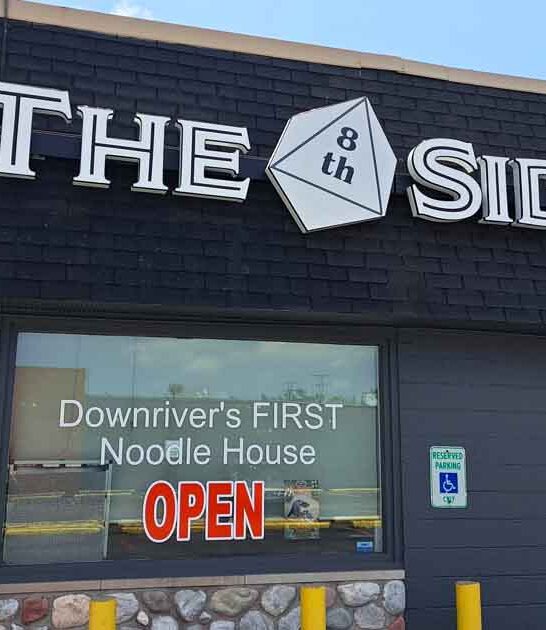 michigan noodles gaming shop ftr