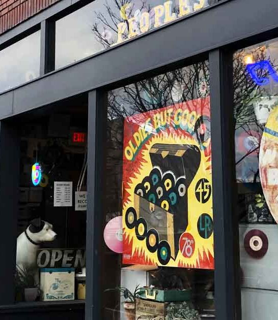 michigan record stores discover ftr