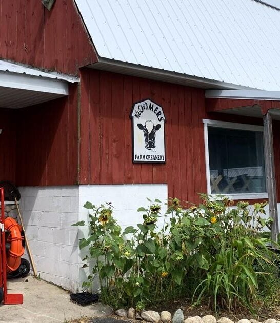 michigan soft serve parlors ftr