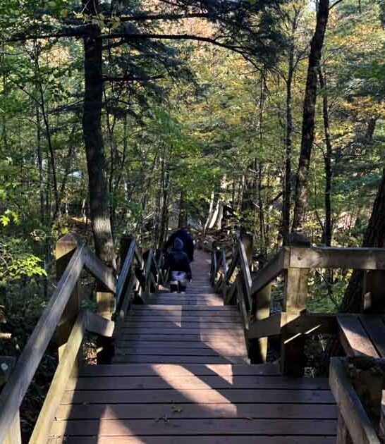 michigan unbelievable waterfall trail ftr