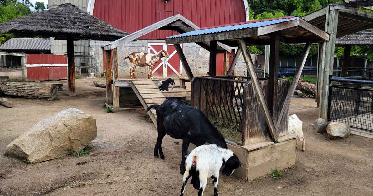 This Under-The-Radar Michigan Zoo Makes For An Unforgettable Day Trip