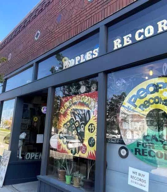 michigan vinyl record stores ftr