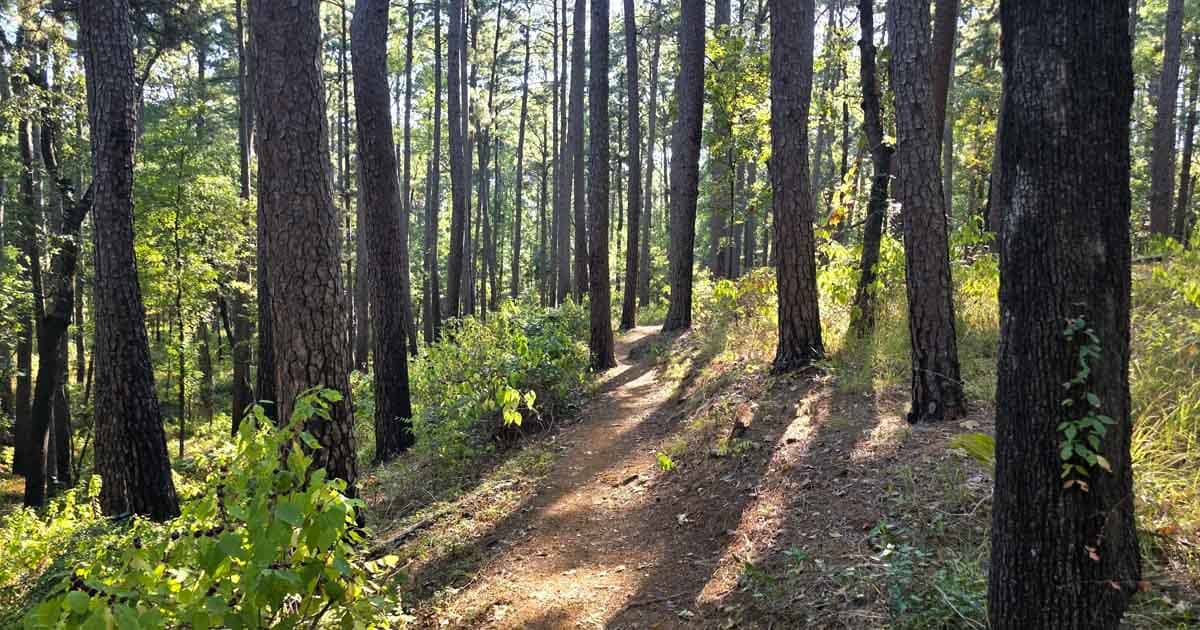 This 1-Mile Hike In Texas Is Short But It Leads To An Unbelievable ...