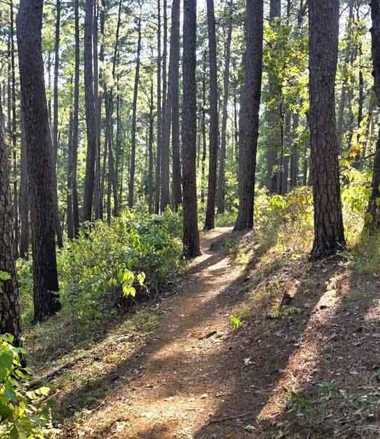 mile trail texas waterfall ftr