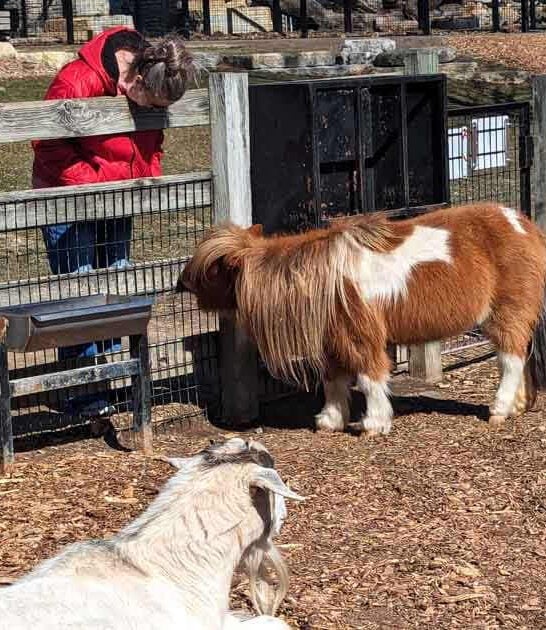 minnesota charming family zoo ftr