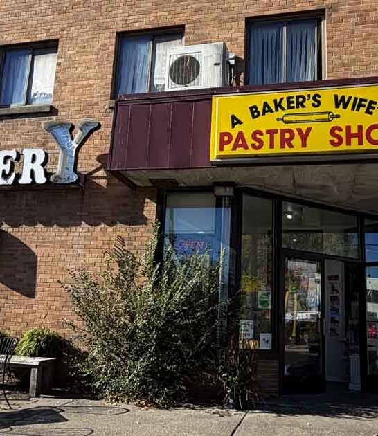minnesota classic donut shops ftr
