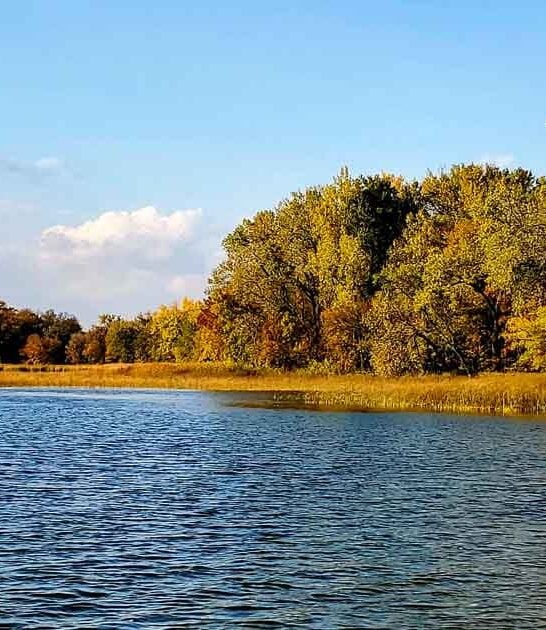 minnesota top hidden park ftr