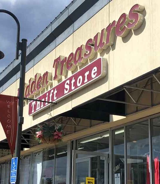 minnesota visit thrift stores ftr