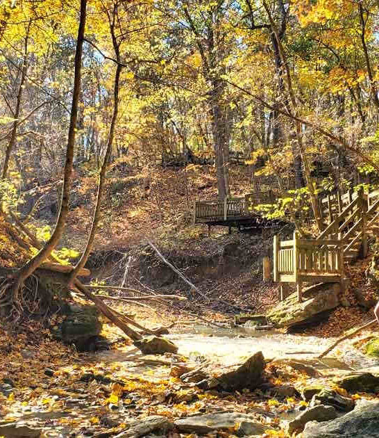 missouri autumn park gem ftr