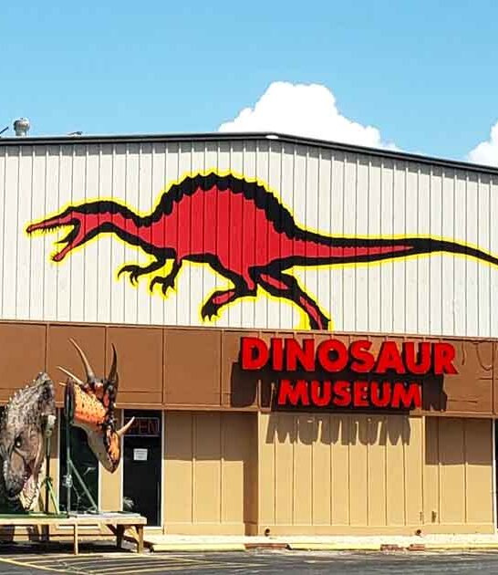 missouri discover dinosaur park ftr