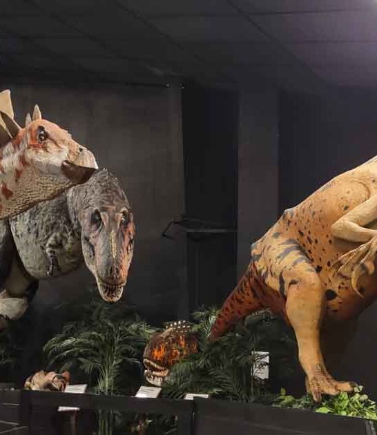 missouri incredible dinosaur park ftr