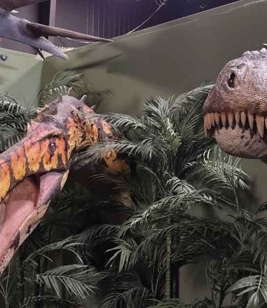missouri life size dinosaurs ftr
