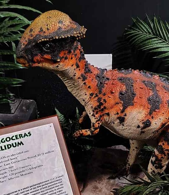 missouri prehistoric unique park ftr