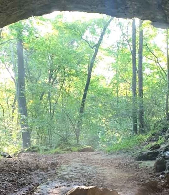 missouri sandy cave speechless ftr