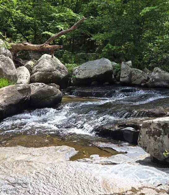 missouri state park ftr