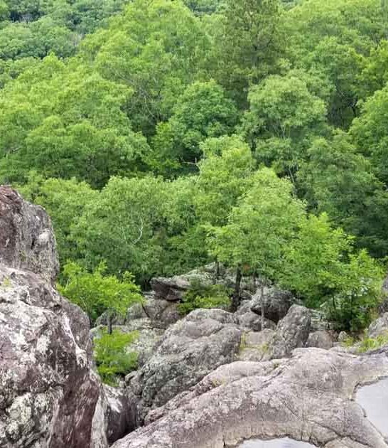 missouri state park peaceful ftr