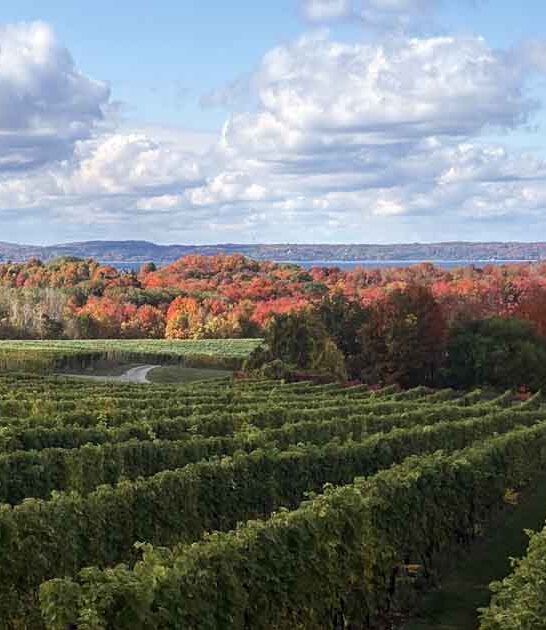 most magical destinations michigan ftr