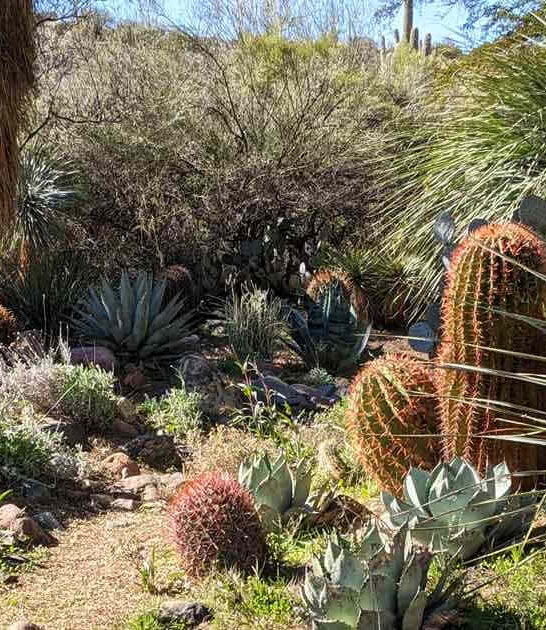 must visit arizona garden ftr